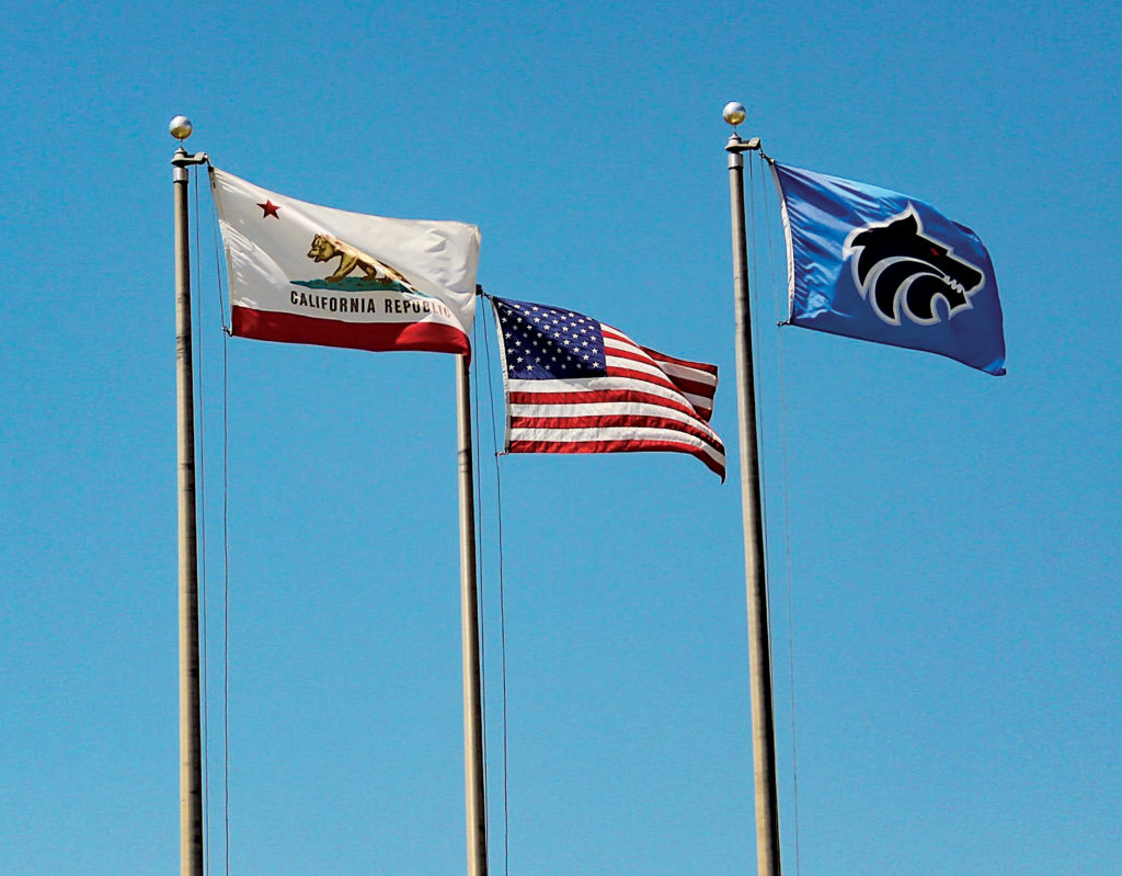 Pole Flags - VIP Branding