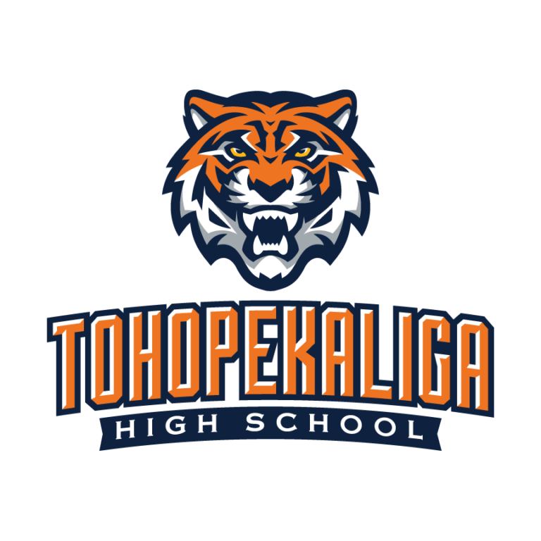 Our Portfolio - VIP Branding